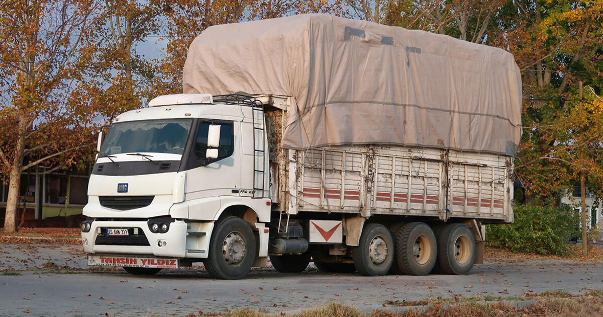 BMC (TR) Profesyonel gen. 2 from 2008 :: truckinfocus.com